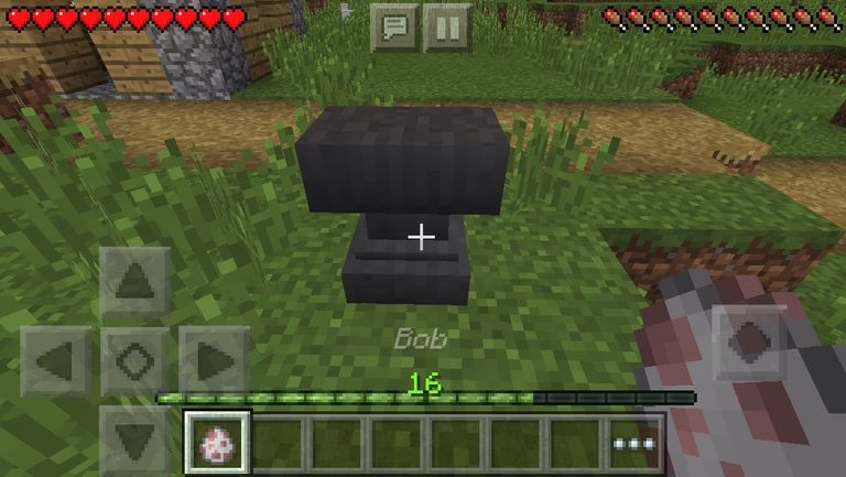 How to name tag animals in minecraft - B+C Guides