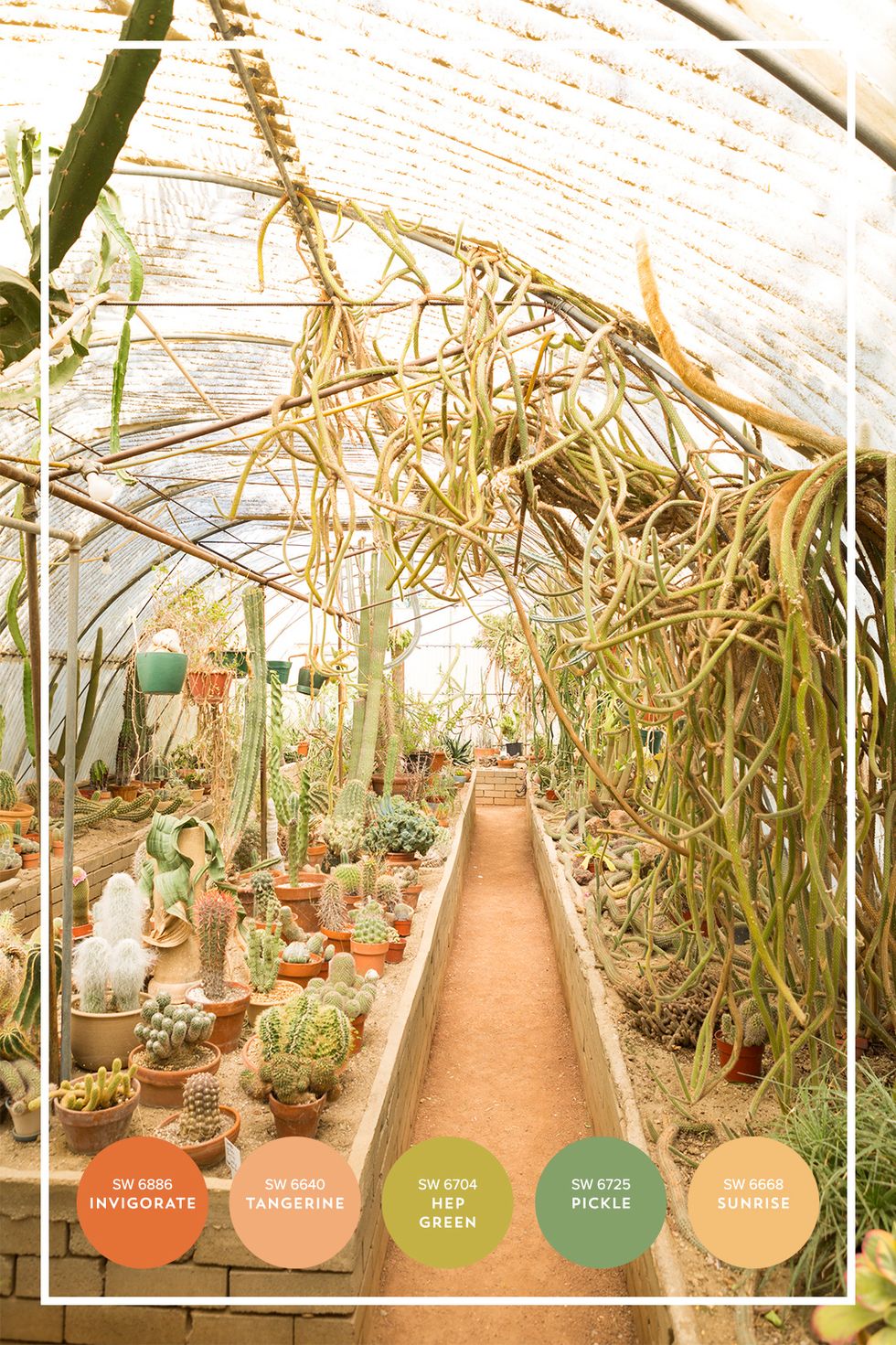 Color Guide to Palm Springs + Joshua Tree - B+C Guides