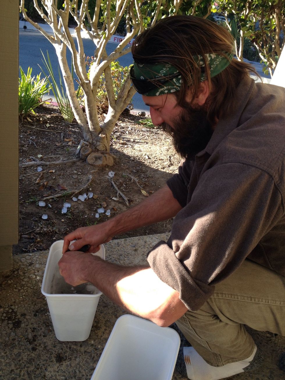 How to prepare and cook wild mussels - B+C Guides