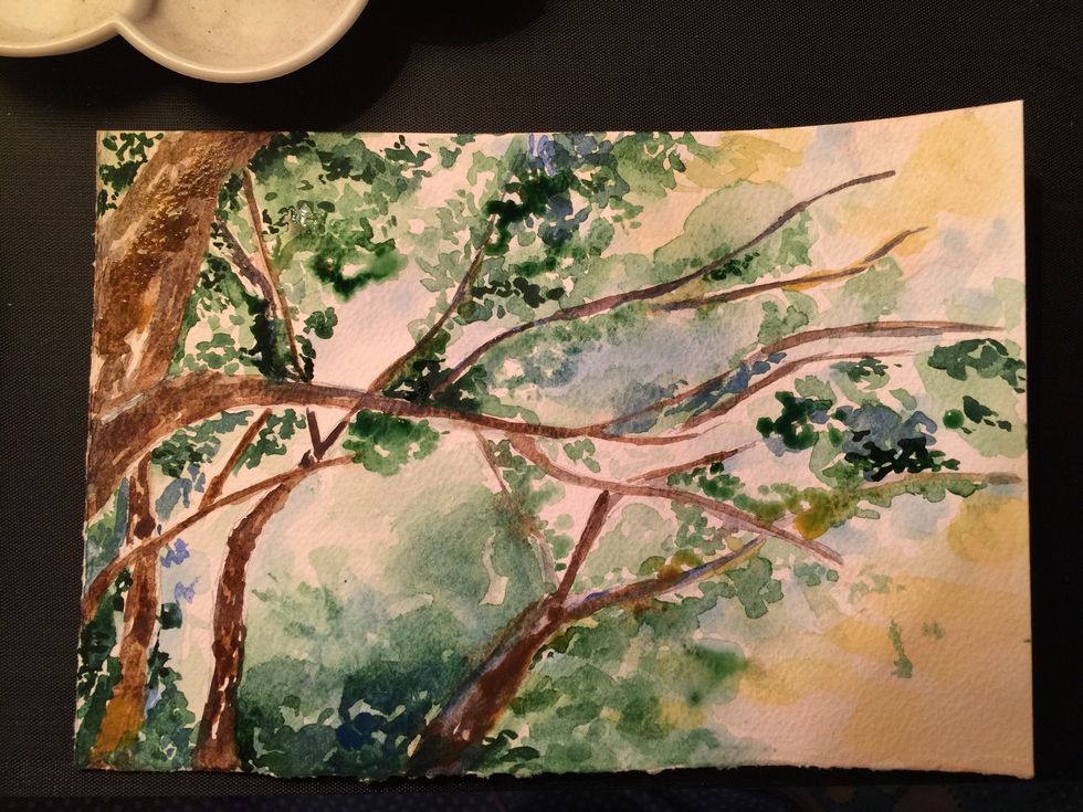 How to draw tress - B+C Guides