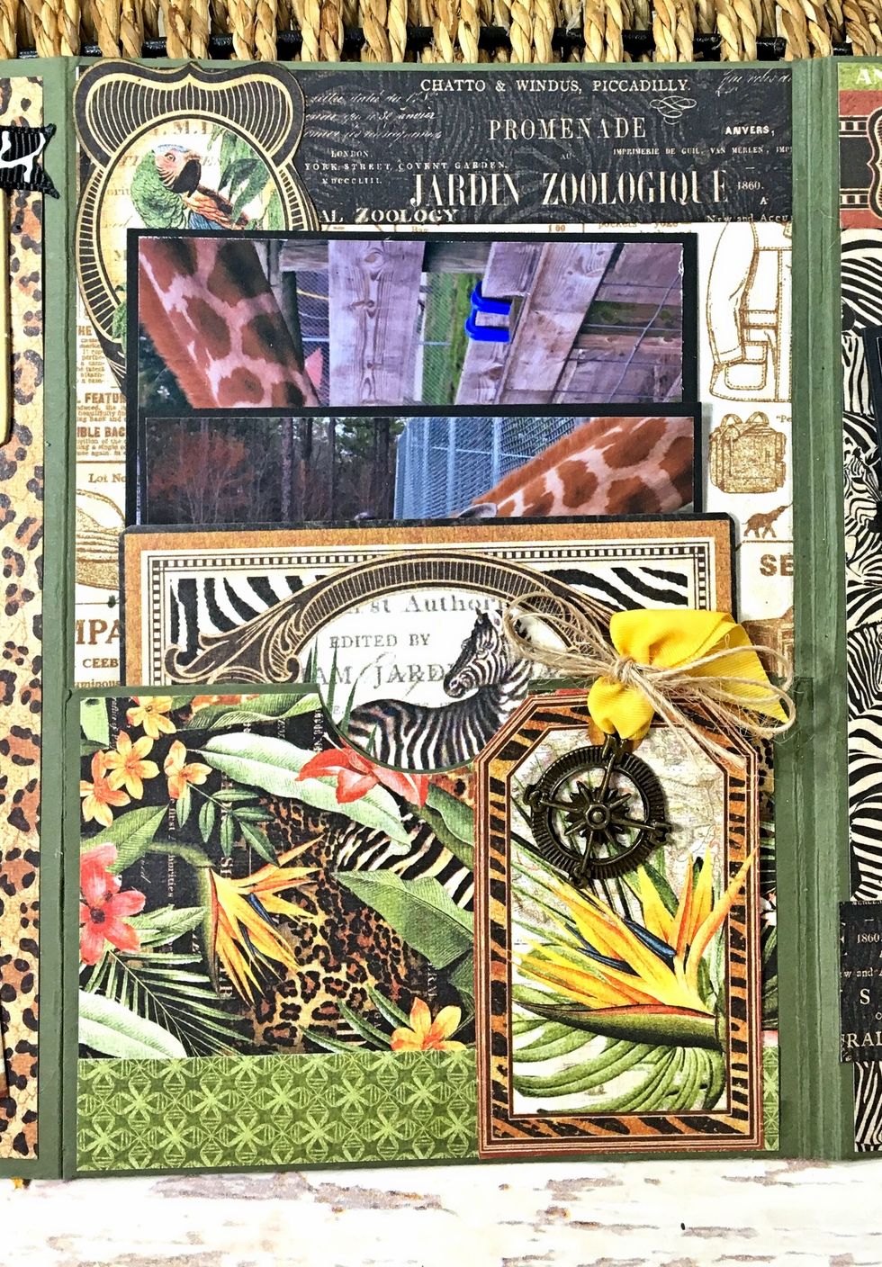 How to graphic 45 safari adventure tri-fold mini album - B+C Guides