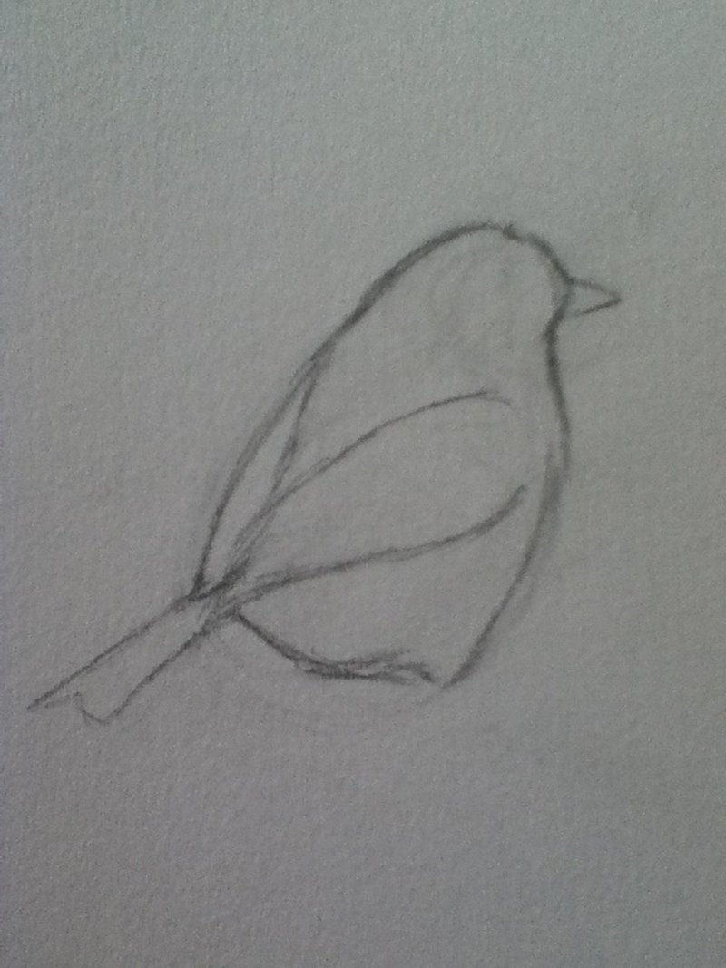 Fat Bird Drawing