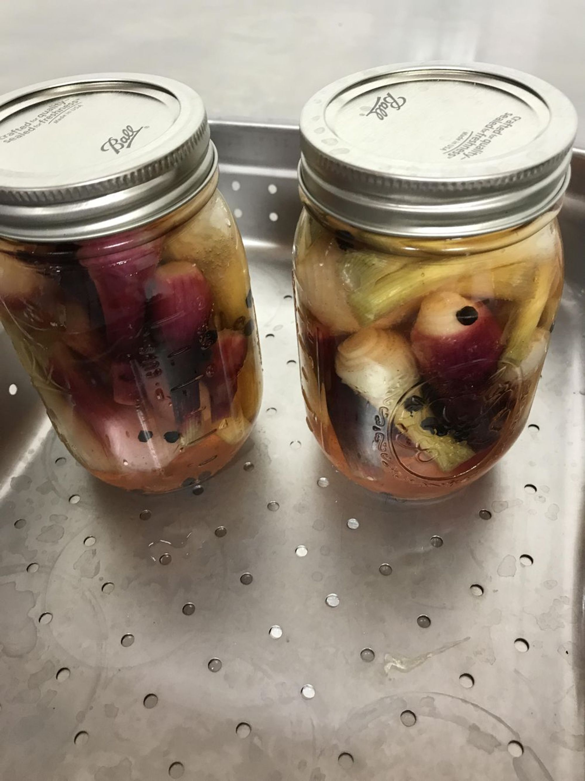 How to pickle spring onions - alto shaam ctp combi oven - B+C Guides