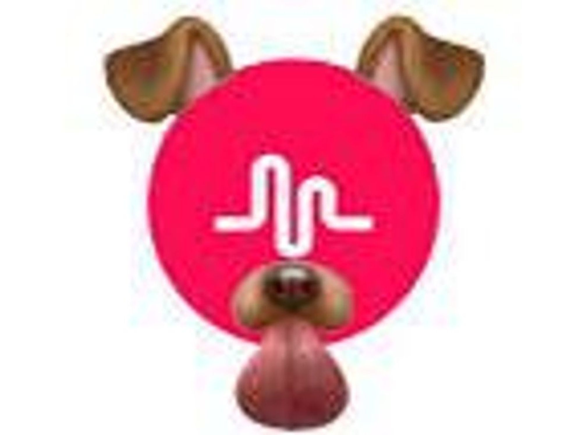 How to musical.ly image 2 - B+C Guides