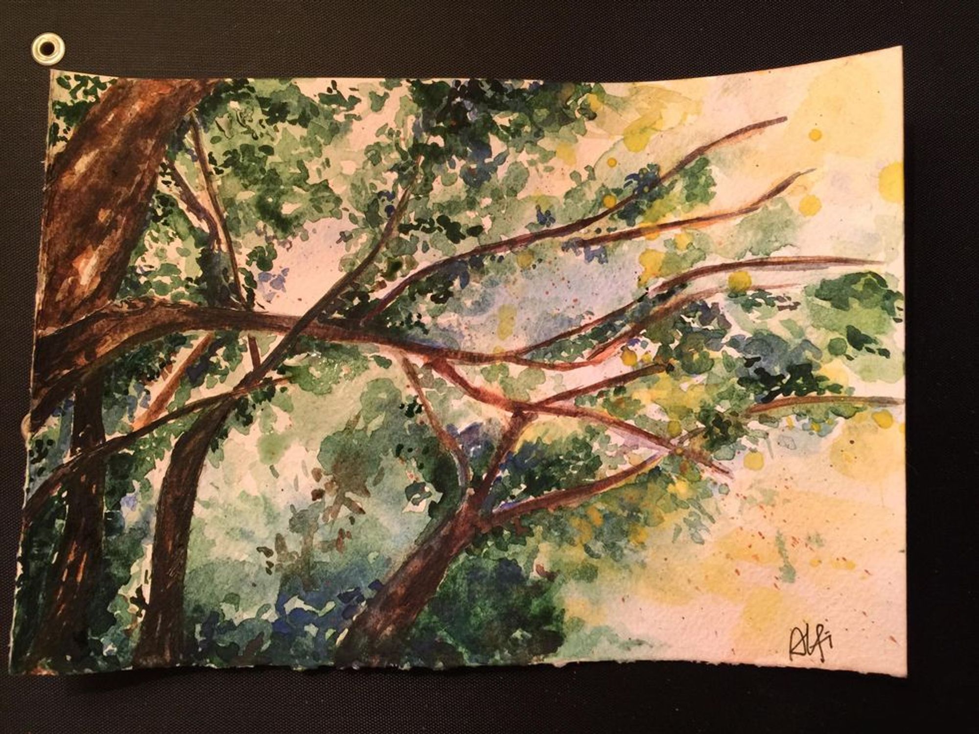 How to draw tress - B+C Guides