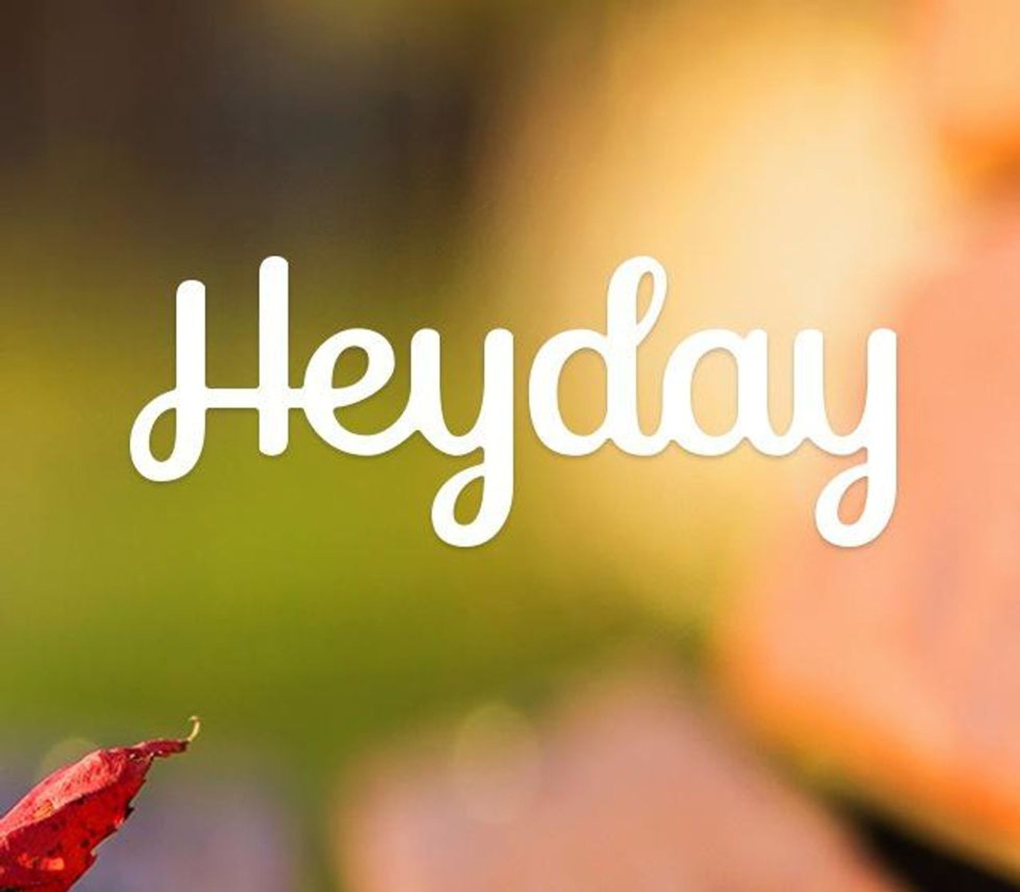 How to use heyday - the self writing visual journal app - B+C Guides