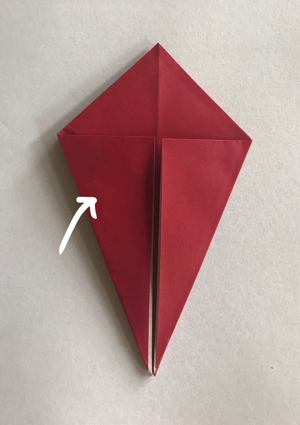 Fold the triangle in half - B+C Guides