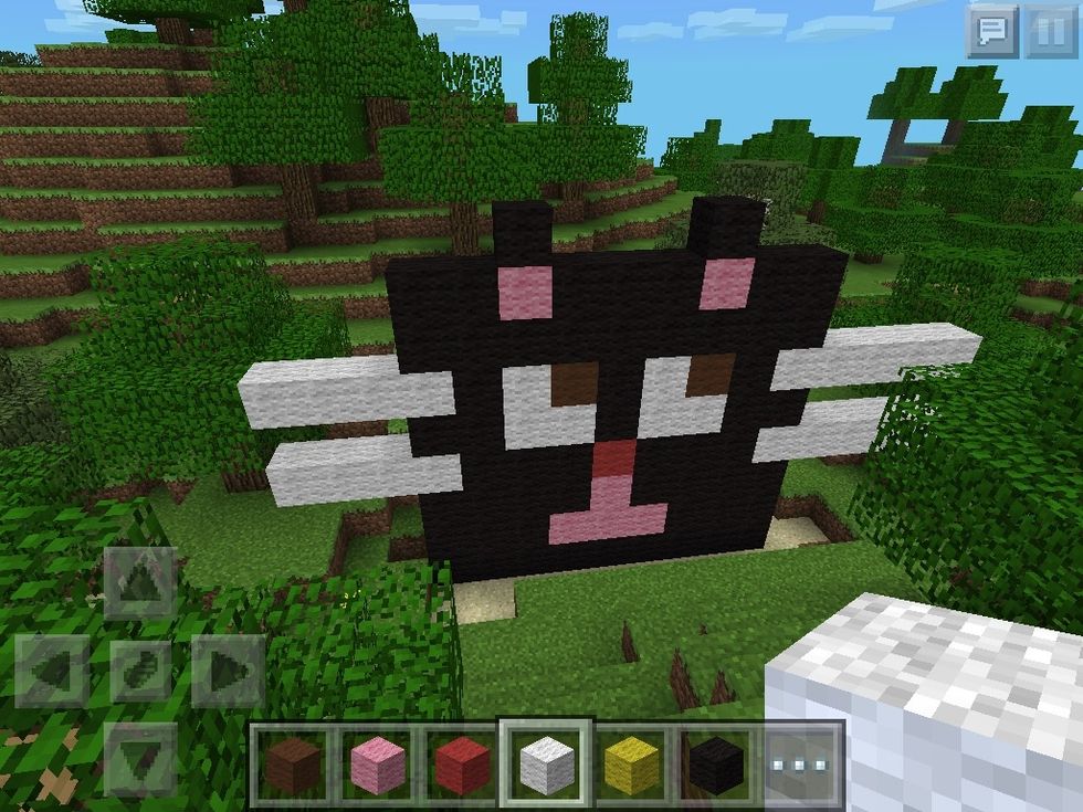 How to make minecraft cat art - B+C Guides