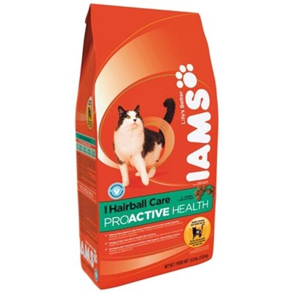 How to take care of a cat - B+C Guides