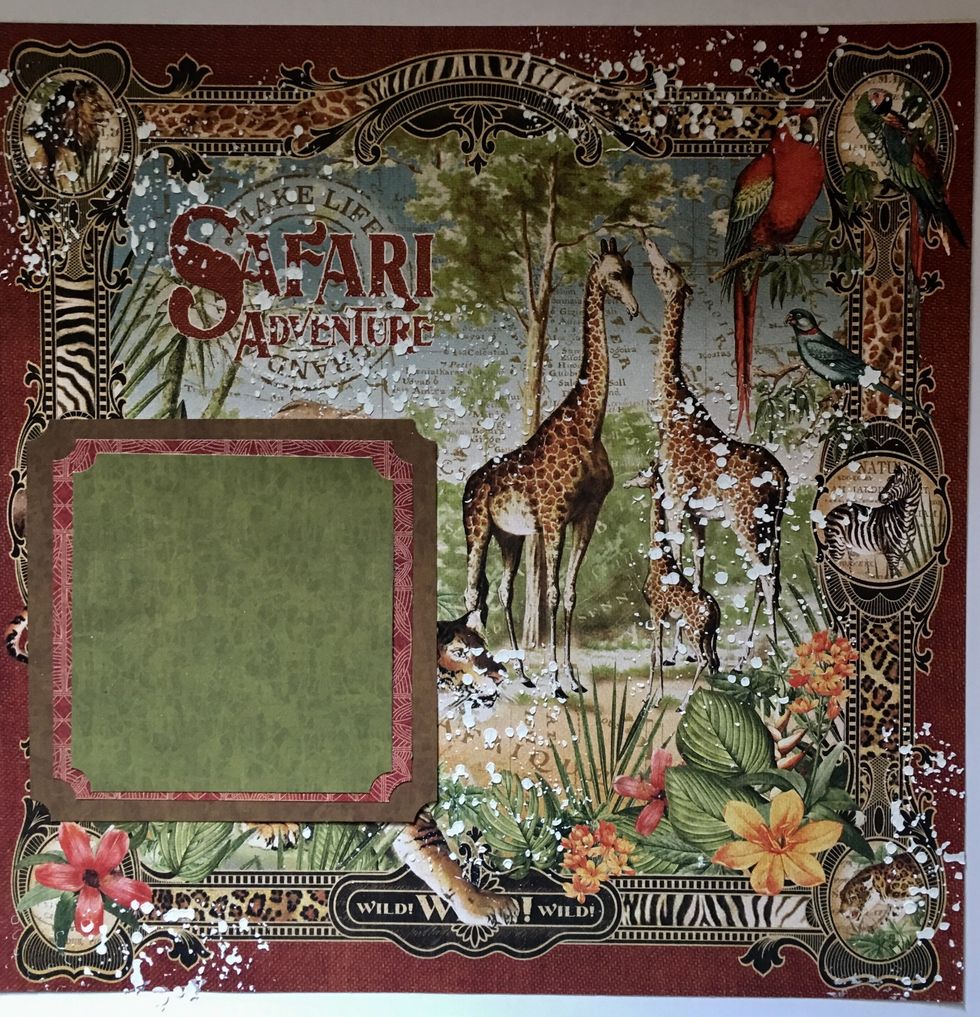 How to graphic 45 safari adventure layouts - B+C Guides