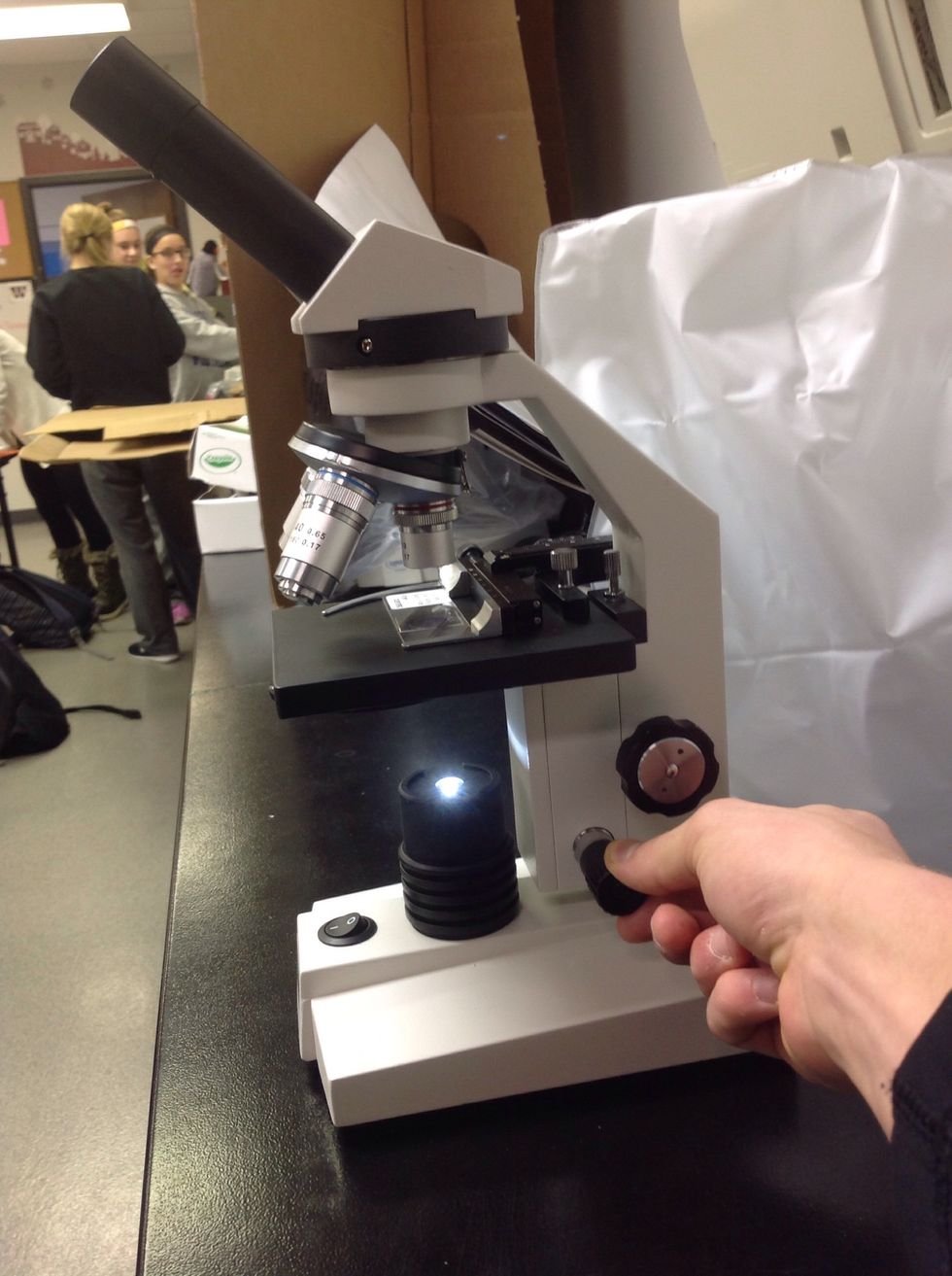 How to set up a microscope - B+C Guides