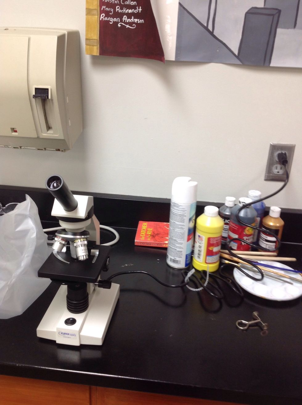 How to set up a microscope - B+C Guides