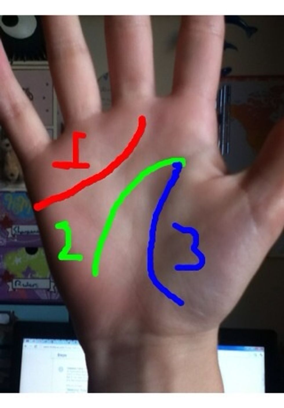 How to read your palm! - B+C Guides