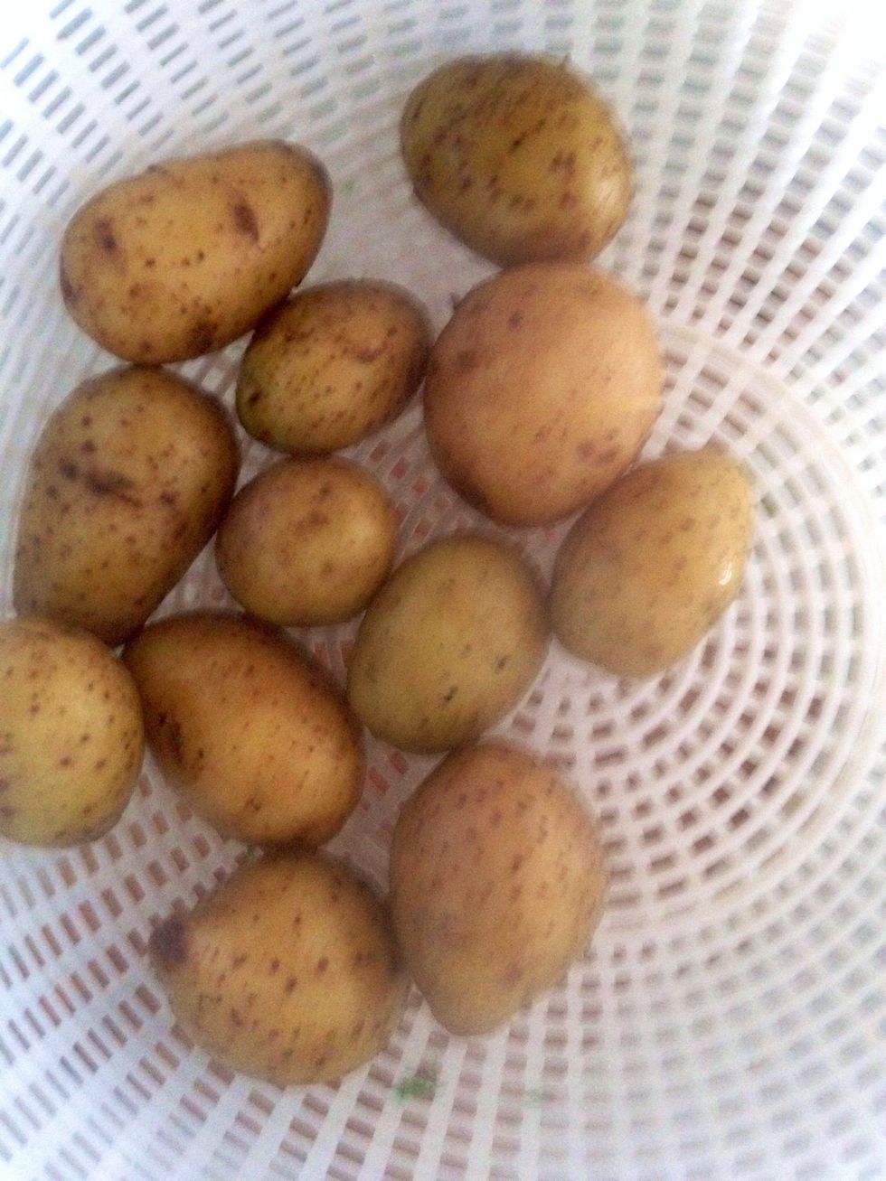 How to cook juicy potatoes - B+C Guides