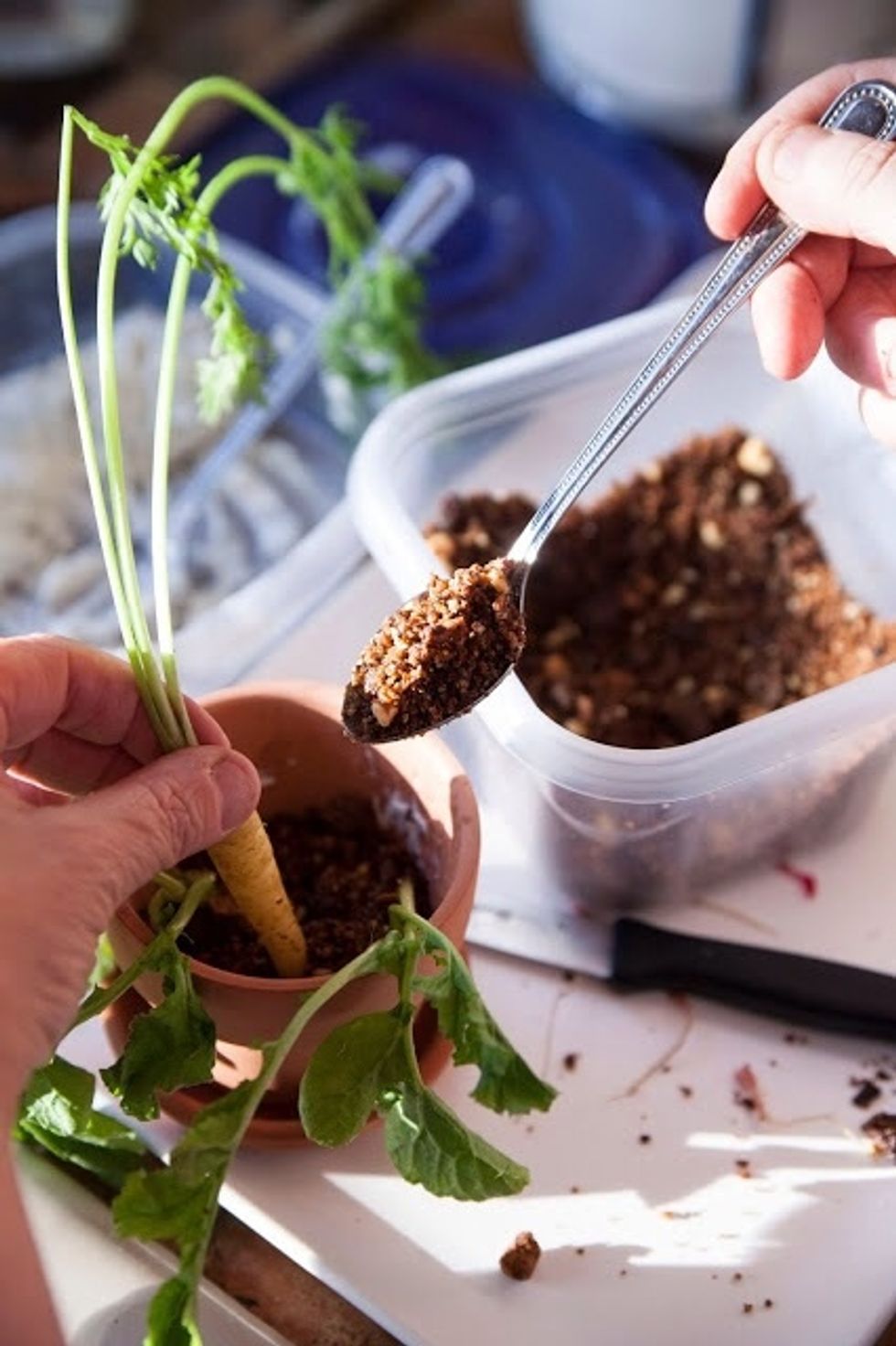 How to make edible dirt - B+C Guides