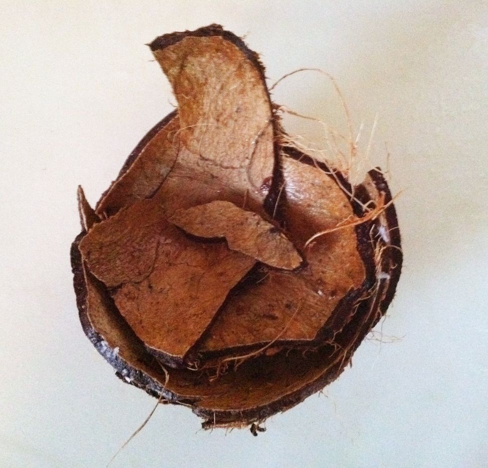 How to prep a coconut - B+C Guides