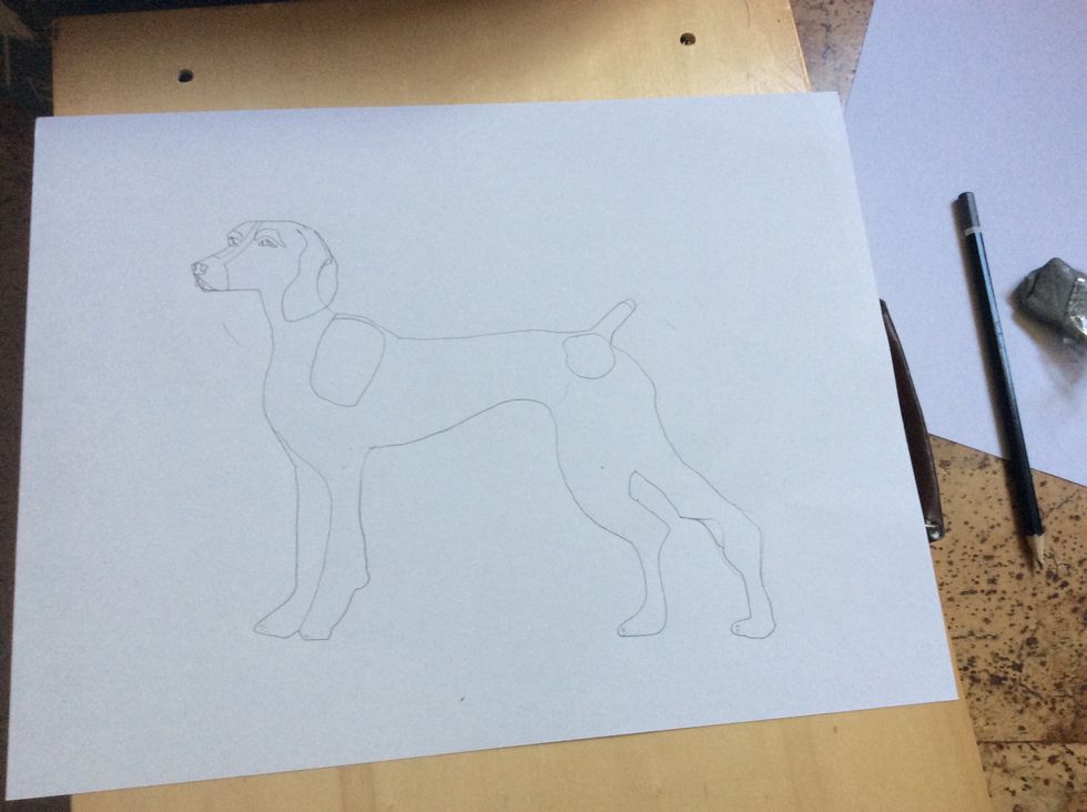 How to draw a german shorthair pointer - B+C Guides