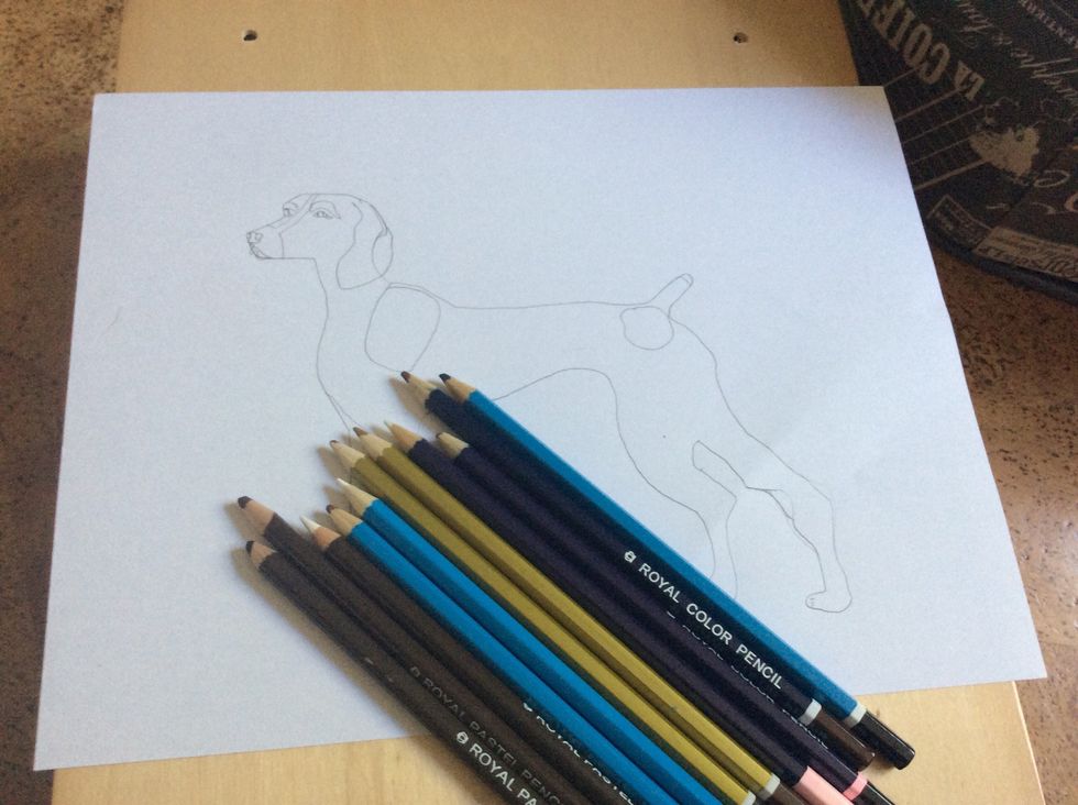 How to draw a german shorthair pointer - B+C Guides