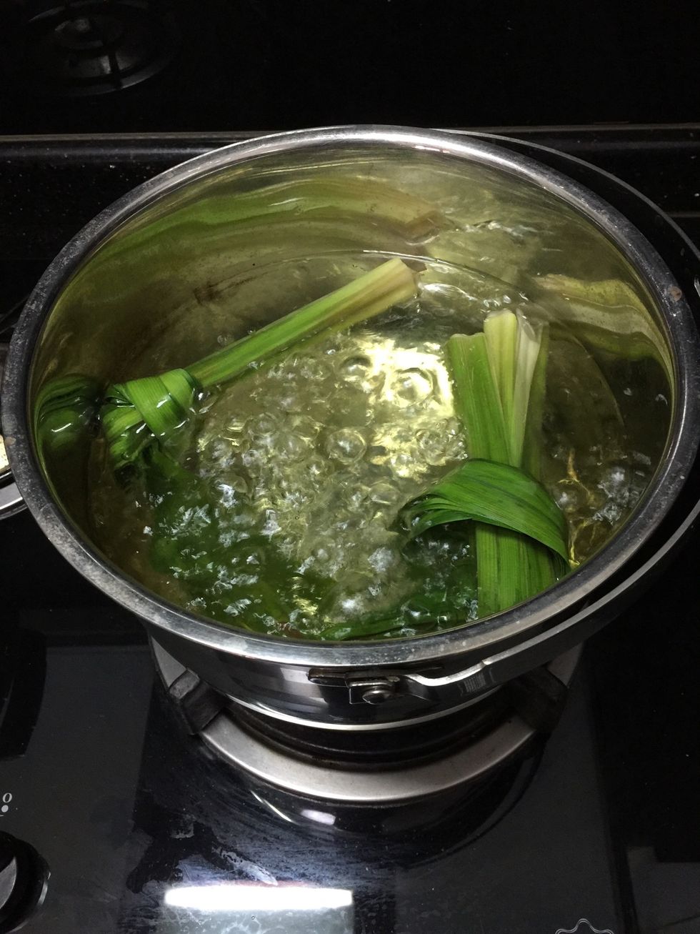 How to make agar agar - B+C Guides