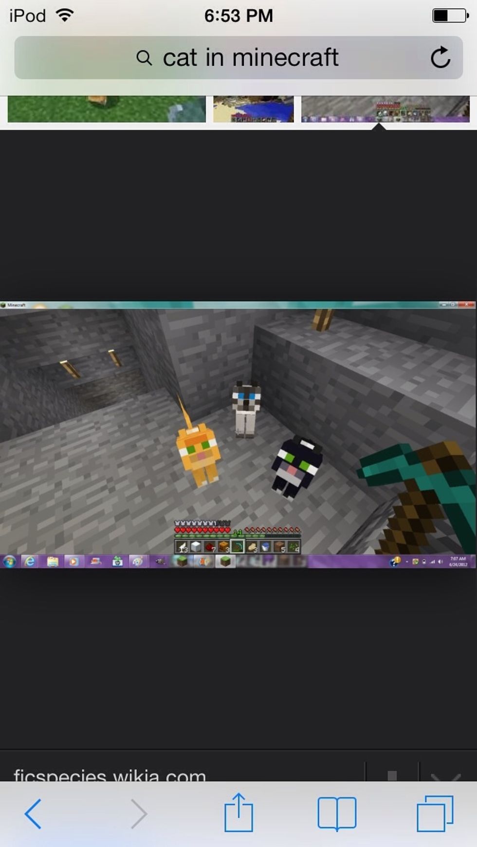 How To Tame A Cat In Minecraft Bc Guides