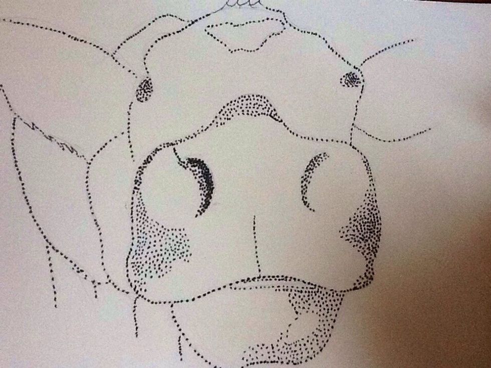 How to draw an animal using stipple method - B+C Guides
