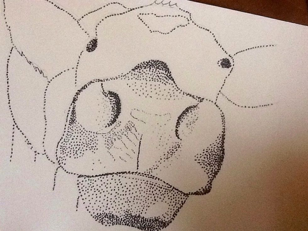 How to draw an animal using stipple method - B+C Guides