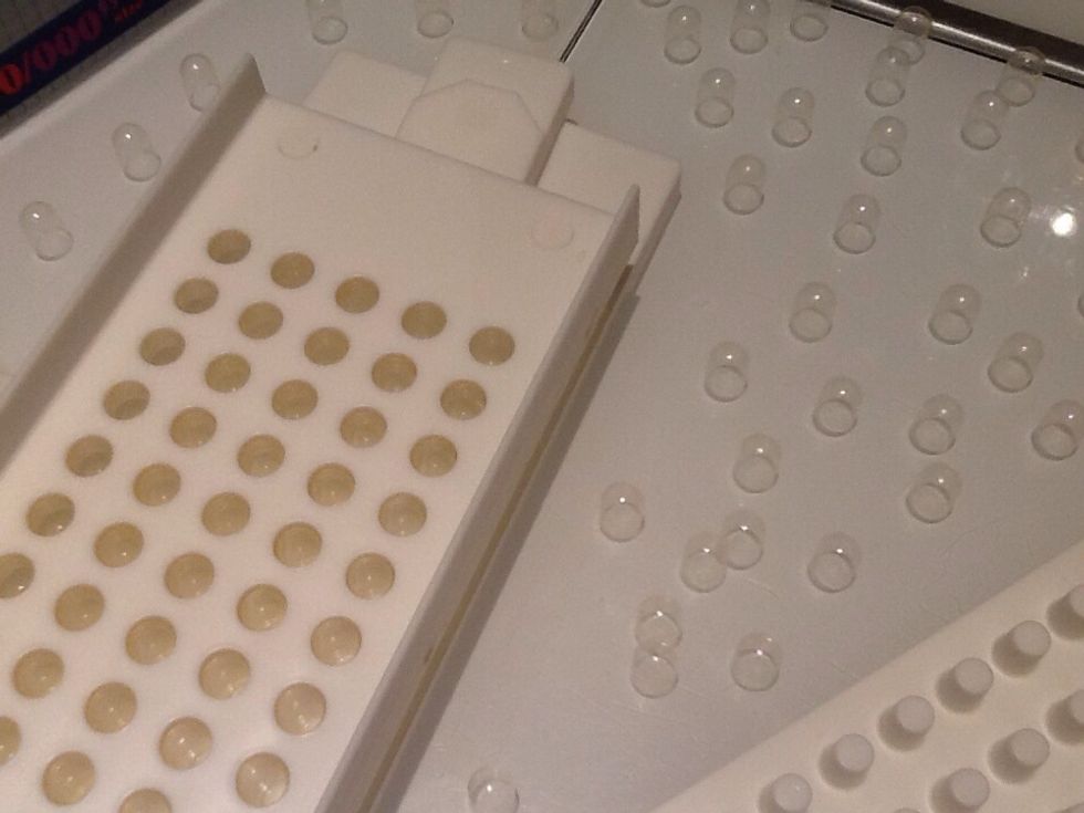 How to fill your own capsules - B+C Guides