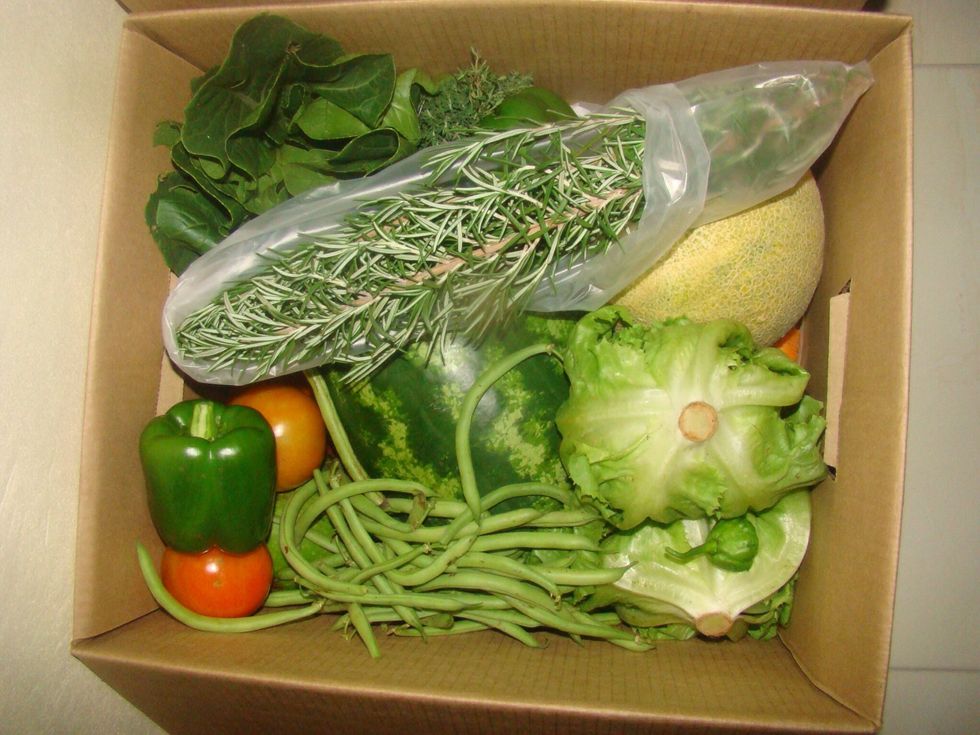 How to customize your so veggie box - B+C Guides