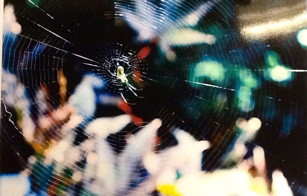 How to taking visual tension images in photography - B+C Guides