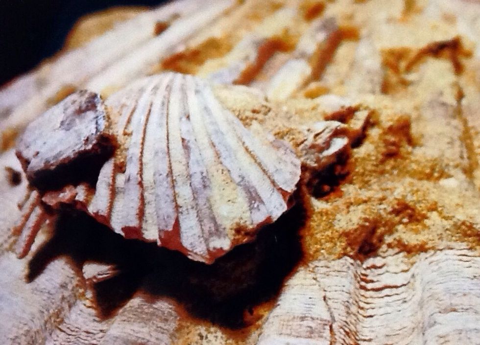 How to taking visual tension images in photography - B+C Guides