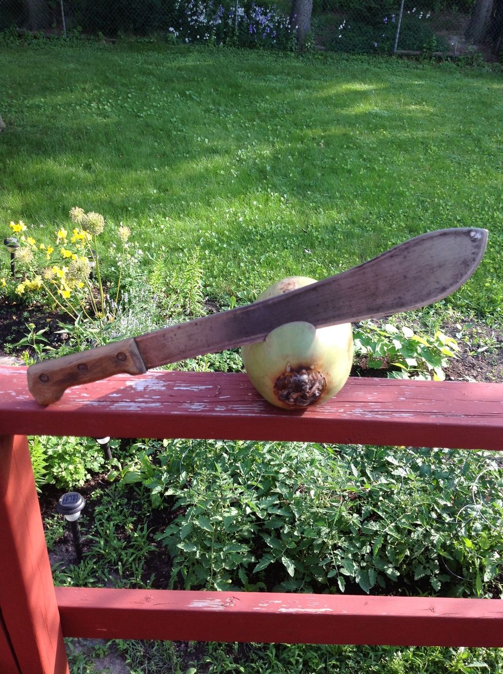 How to restore a cutlass - B+C Guides