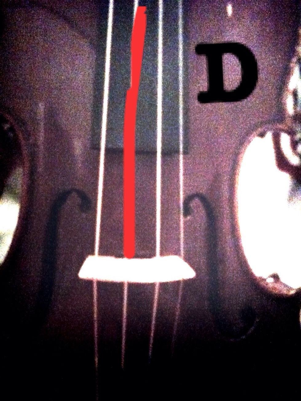 How to the basics of a violin 🎻 - B+C Guides