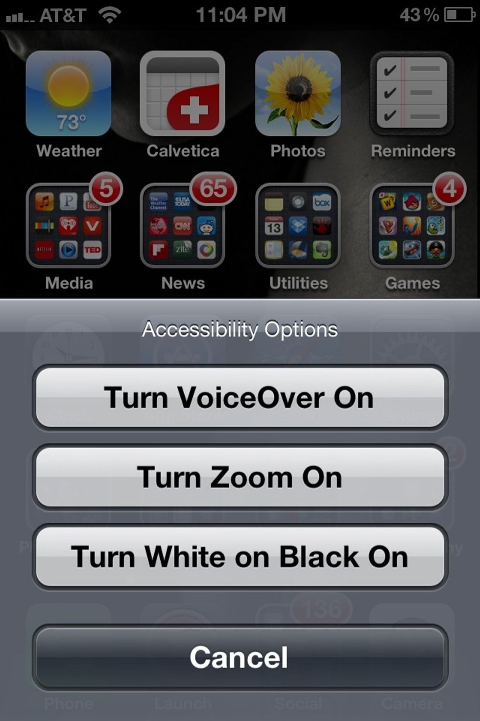 How to zoom into anything on your iphone - B+C Guides