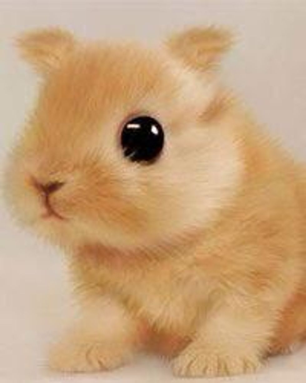 How to react to super cute things - B+C Guides