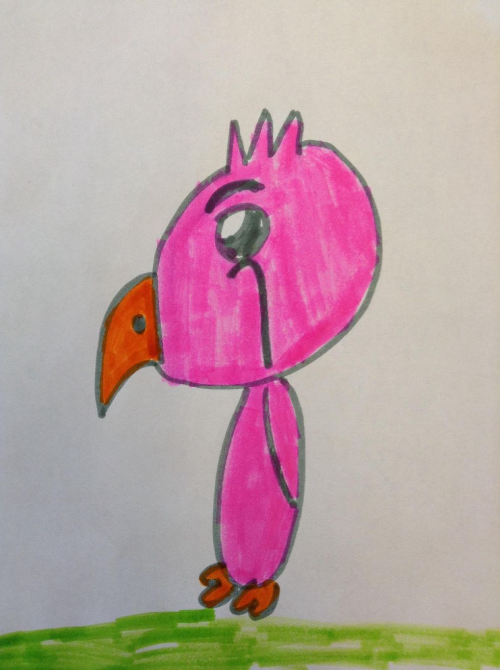 How to draw a parrot head - B+C Guides