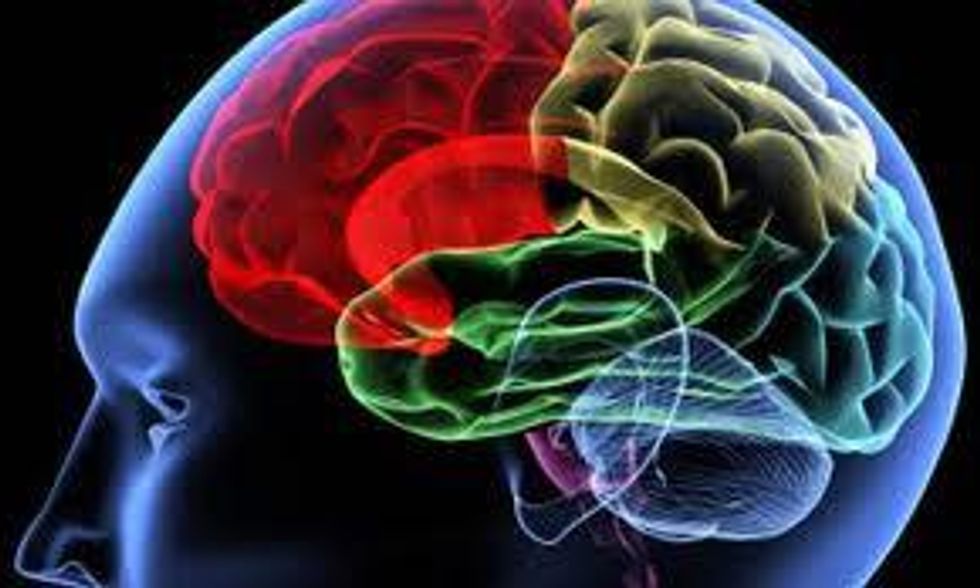 How to draw a weird brain and use it in a comic - B+C Guides