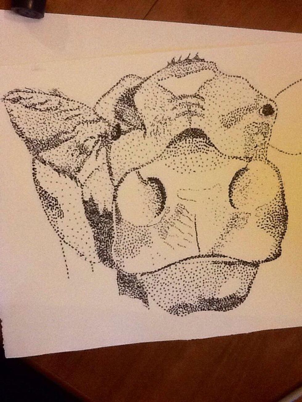 How to draw an animal using stipple method - B+C Guides