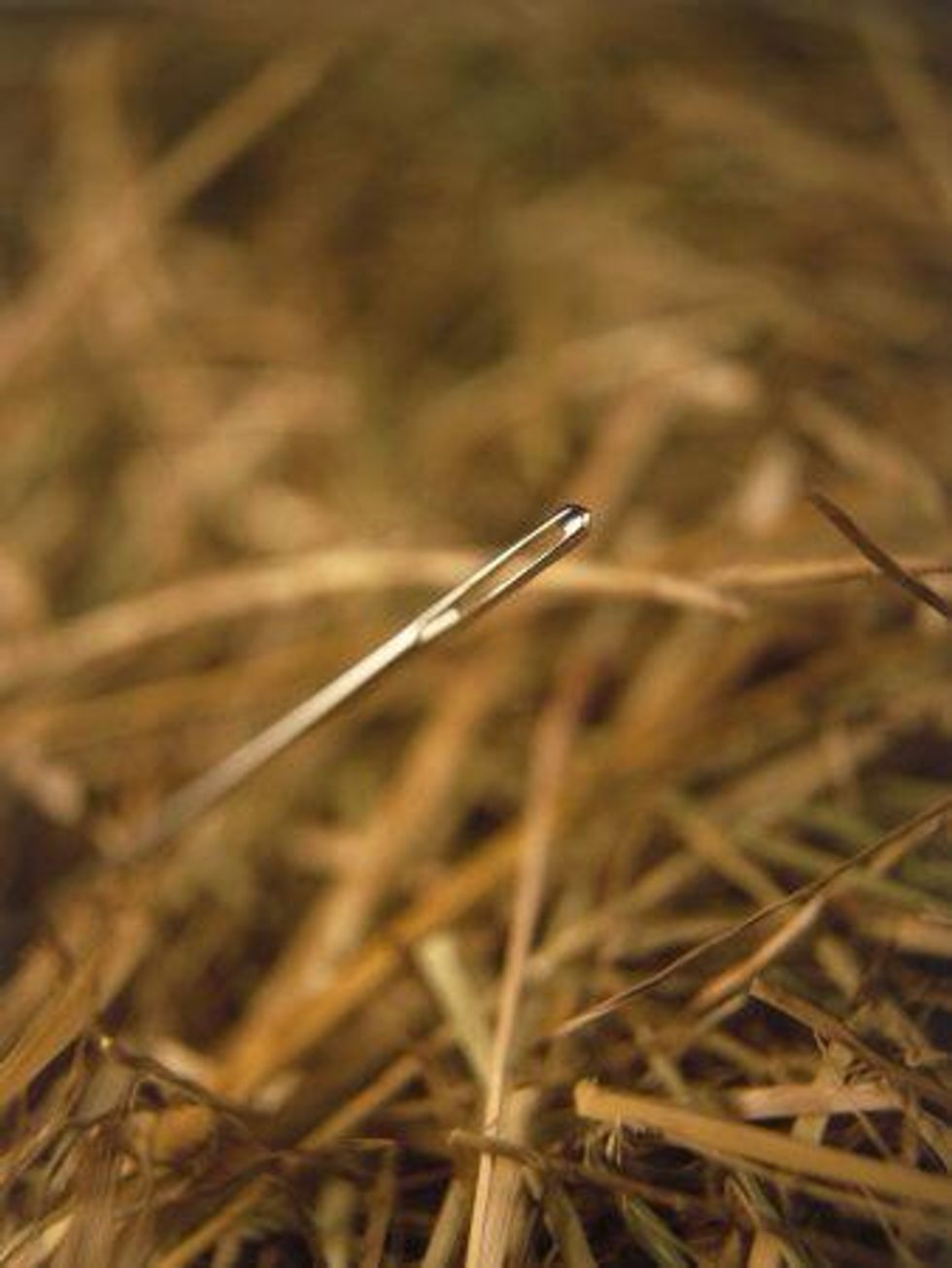 How to find a needle in a haystack - B+C Guides