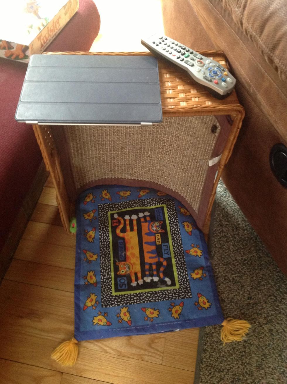 How to make a quick and small cat hideout - B+C Guides