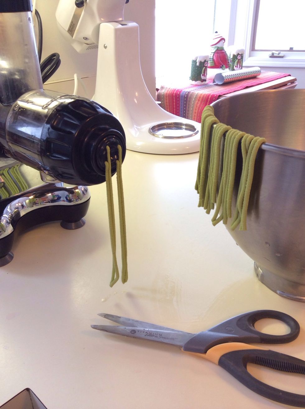 How to make home made noodles w/ an omega juicer - B+C Guides