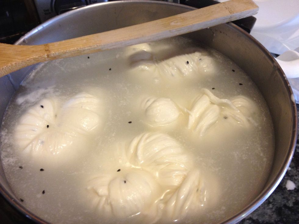 How to make syrian cheese - B+C Guides