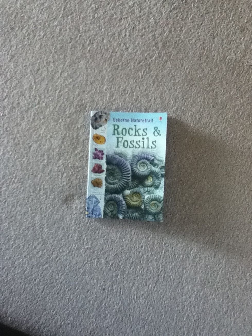 How to start a rock collection - B+C Guides