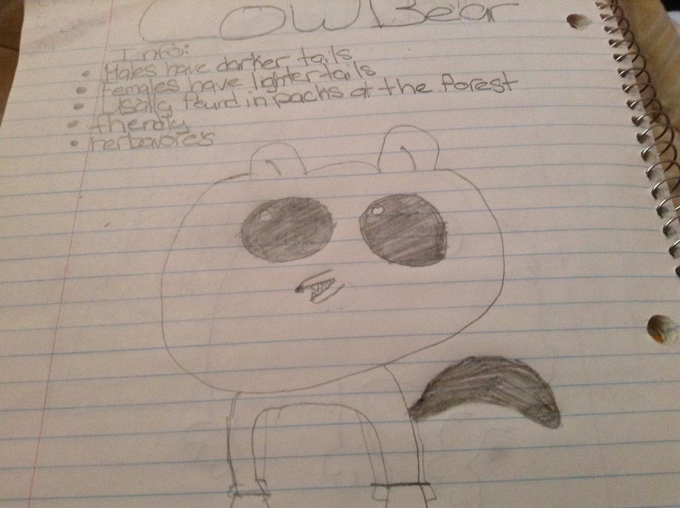 How to create a new animal - B+C Guides