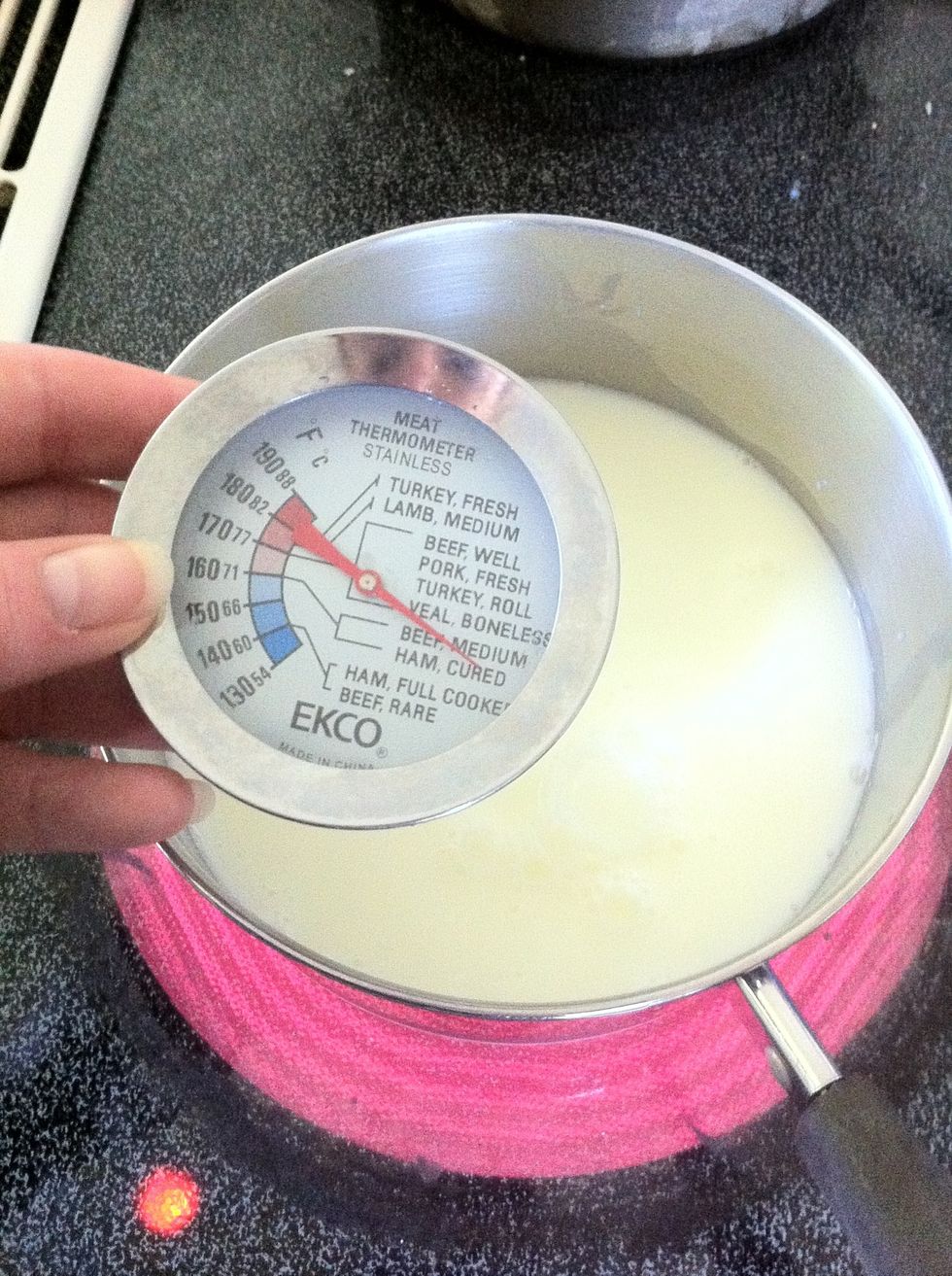 How to make homemade pizza (crust made with whey) - B+C Guides