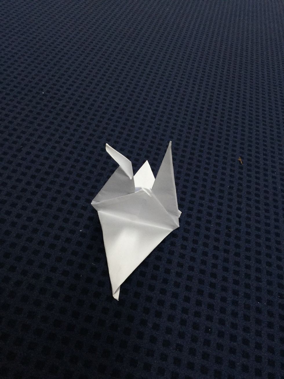 Fold the wings up - B+C Guides