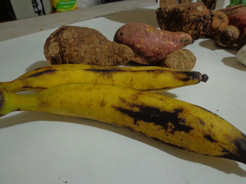 How to make caribbean meal provision and smoke herring - B+C Guides