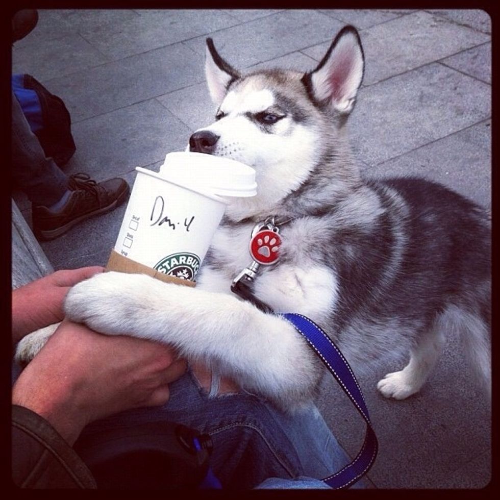 How to good morning! - B+C Guides