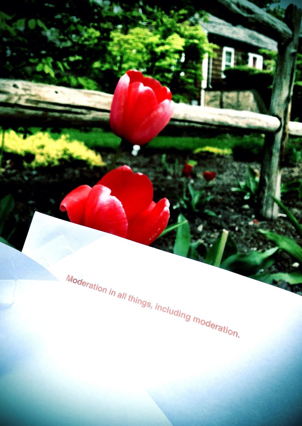 How to make a handmade staple - B+C Guides