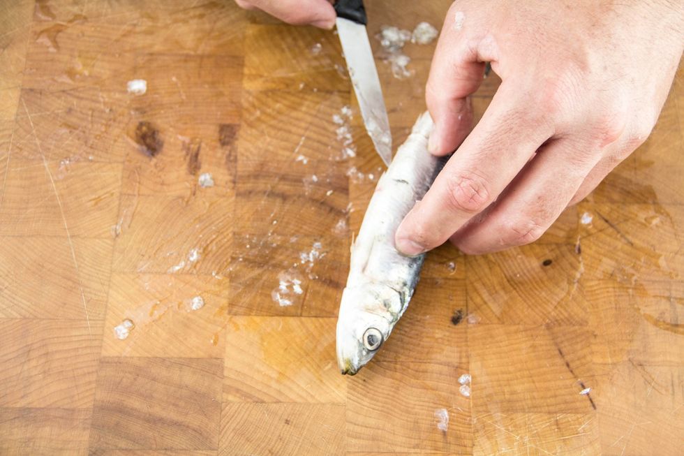 How to scale and clean sardines - B+C Guides