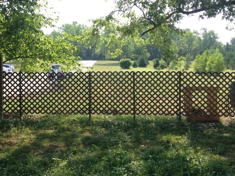 Building A Lattice For Grapevines Build Your Own Grape Vine Arbor.